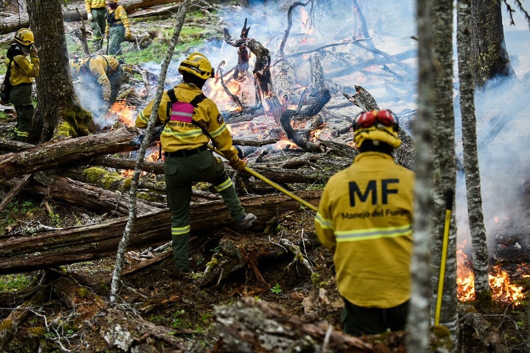 Extreme Fire Danger in Argentina | Ours Abroad News